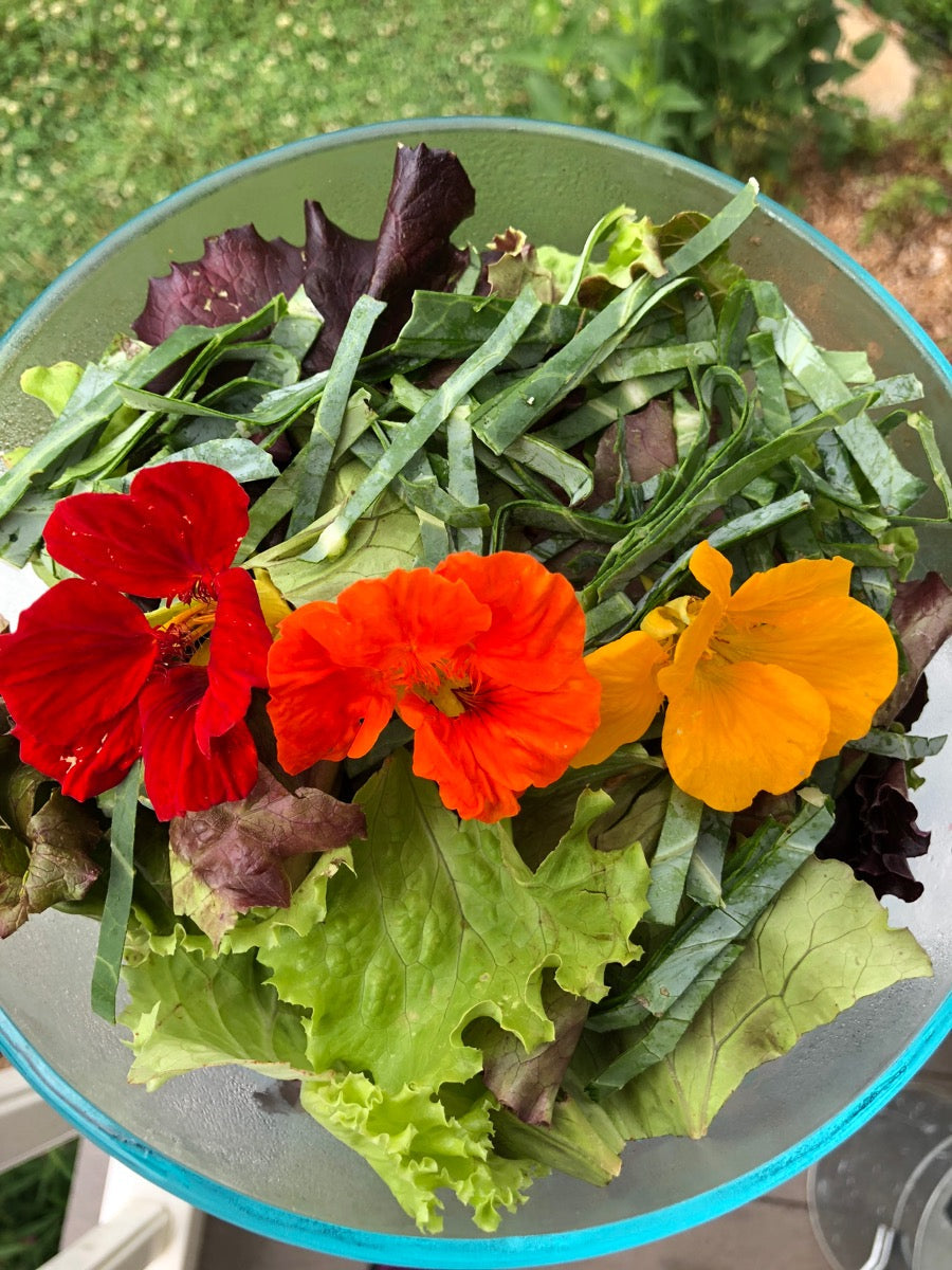 Produce – Piedmont Farmstead