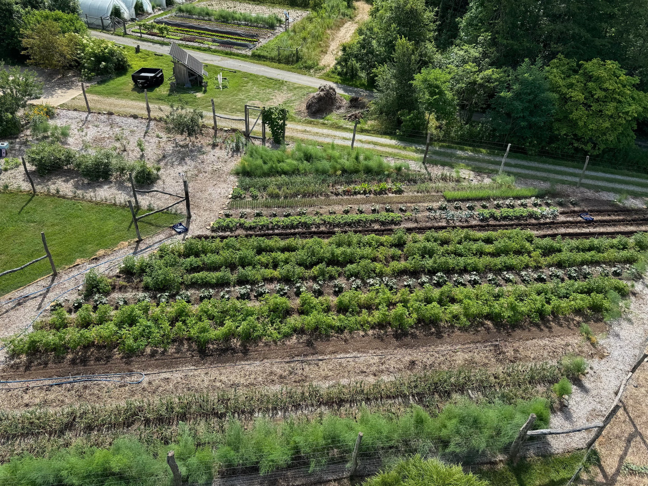 Piedmont Farmstead - An Ecological Farm